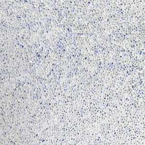 TopCrete Pool Renders Samples – Creative Concrete Concepts